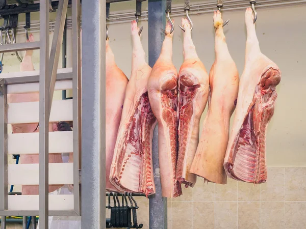 Slaughter of a pig, Carcasses of pigs, Ham pork, Hanged carcasses of ...