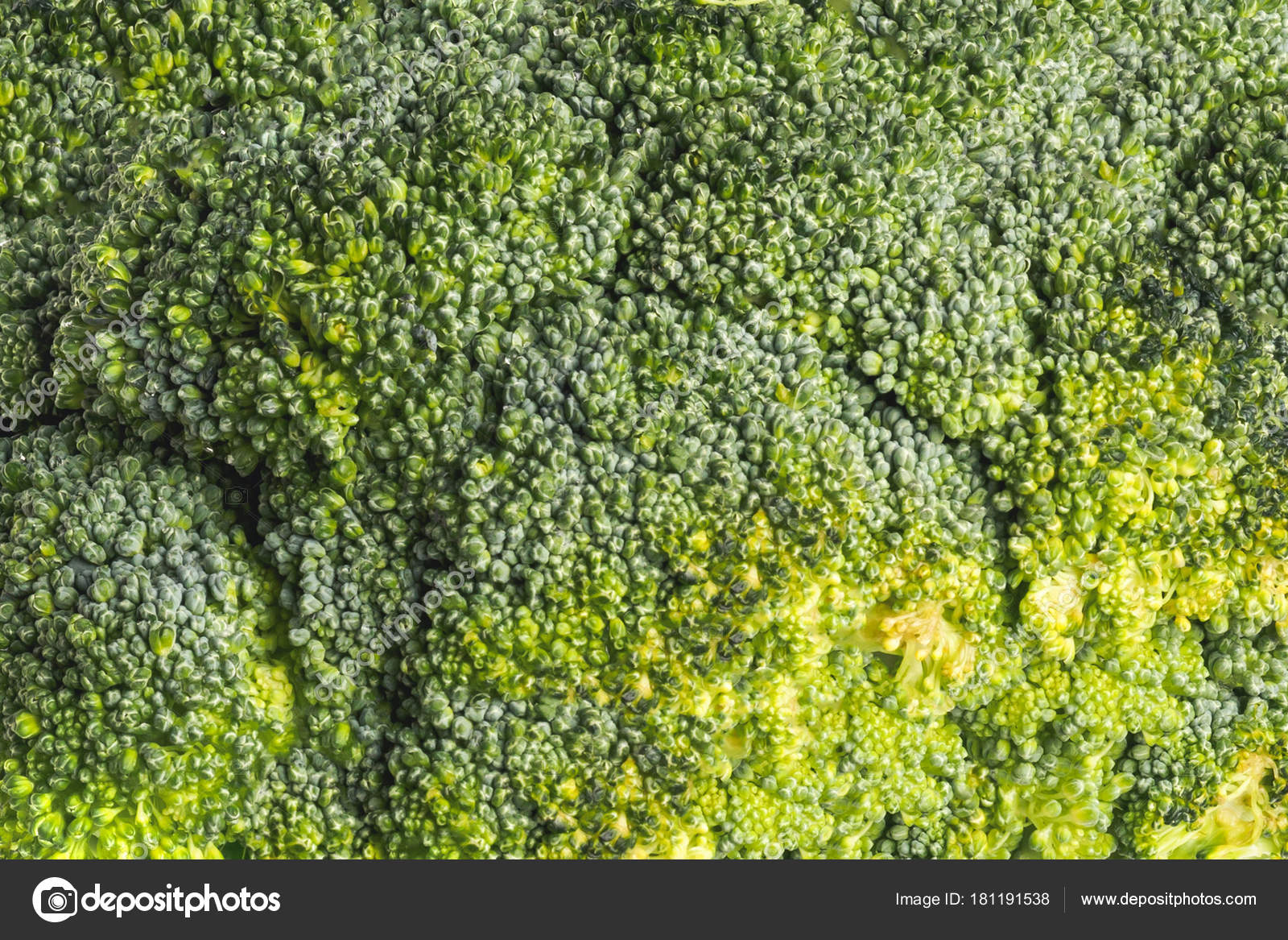 Big green broccoli macro background. close up Stock Photo by ©paulzhuk ...