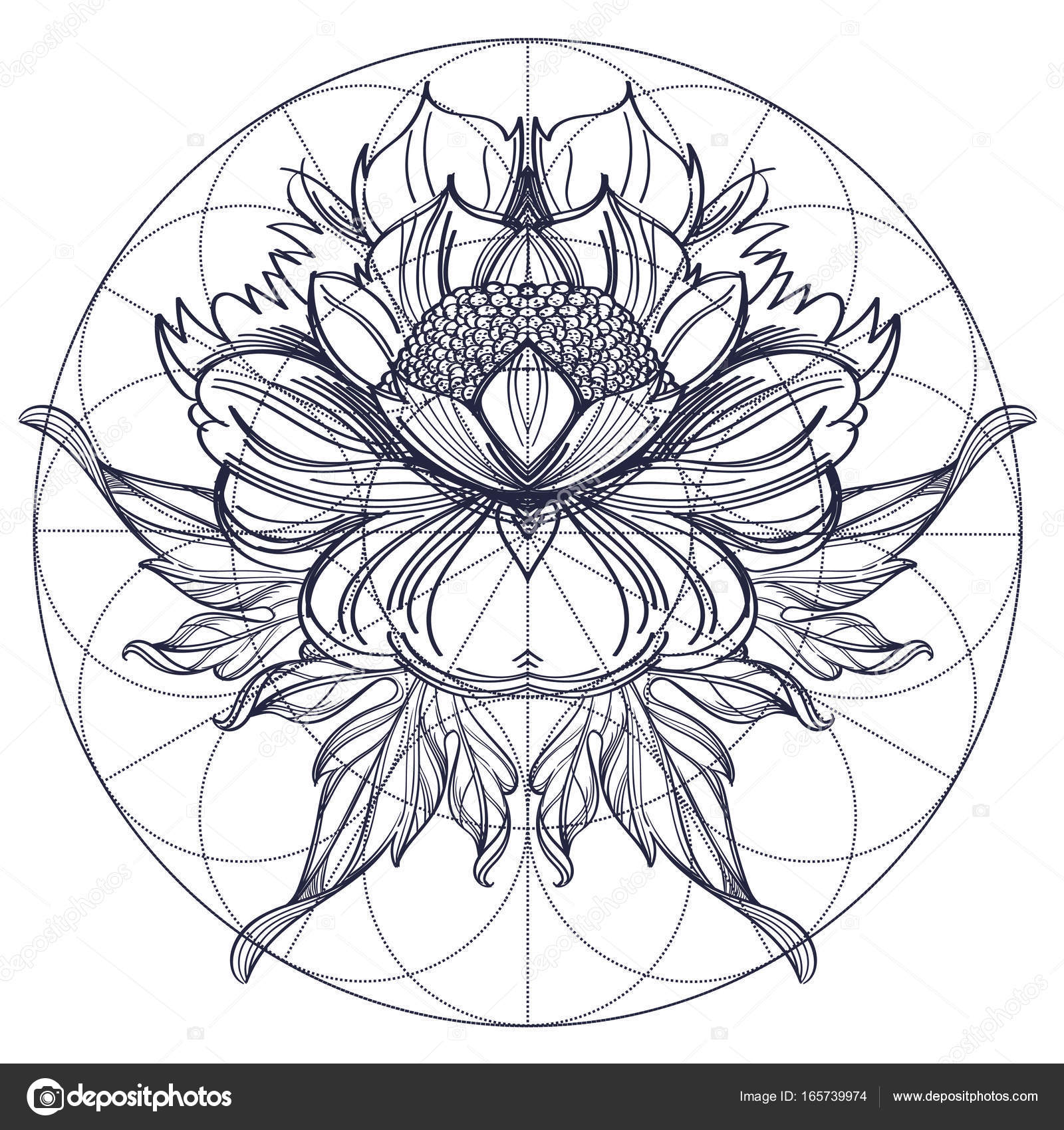 Element of a stylized flower Stock Vector Image by ©filkusto #165739974