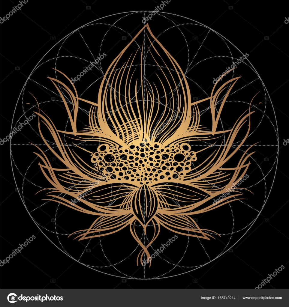 Element of a stylized flower Stock Vector by ©filkusto 165740214