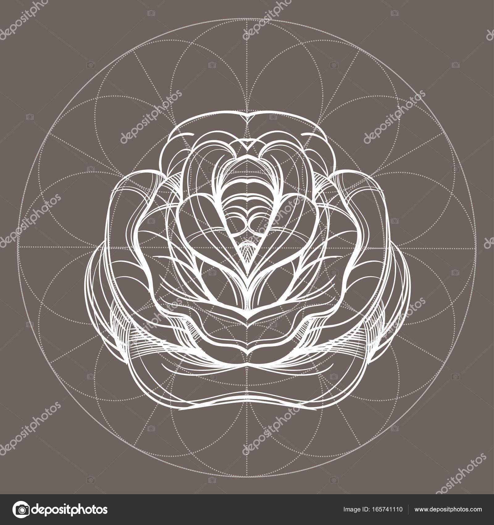 Element of a stylized flower Stock Vector Image by ©filkusto #165741110