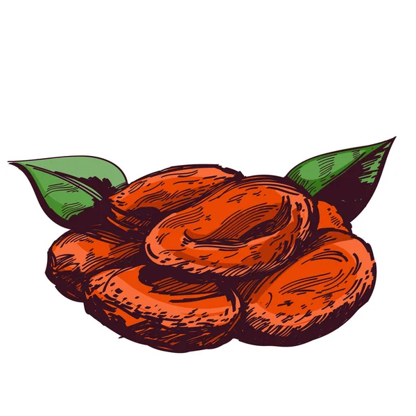 Dried apricot Vector Images, Royalty-free Dried apricot Vectors ...