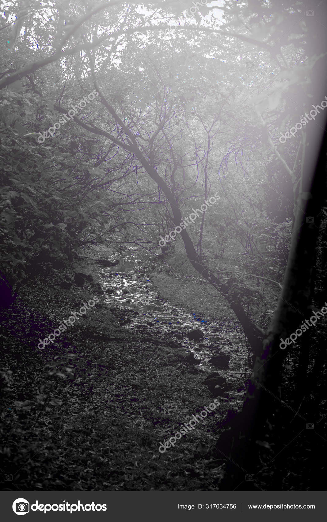 Tyndall Effect Canopy