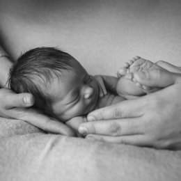 Afterbirth Stock Photos, Royalty Free Afterbirth Images | Depositphotos