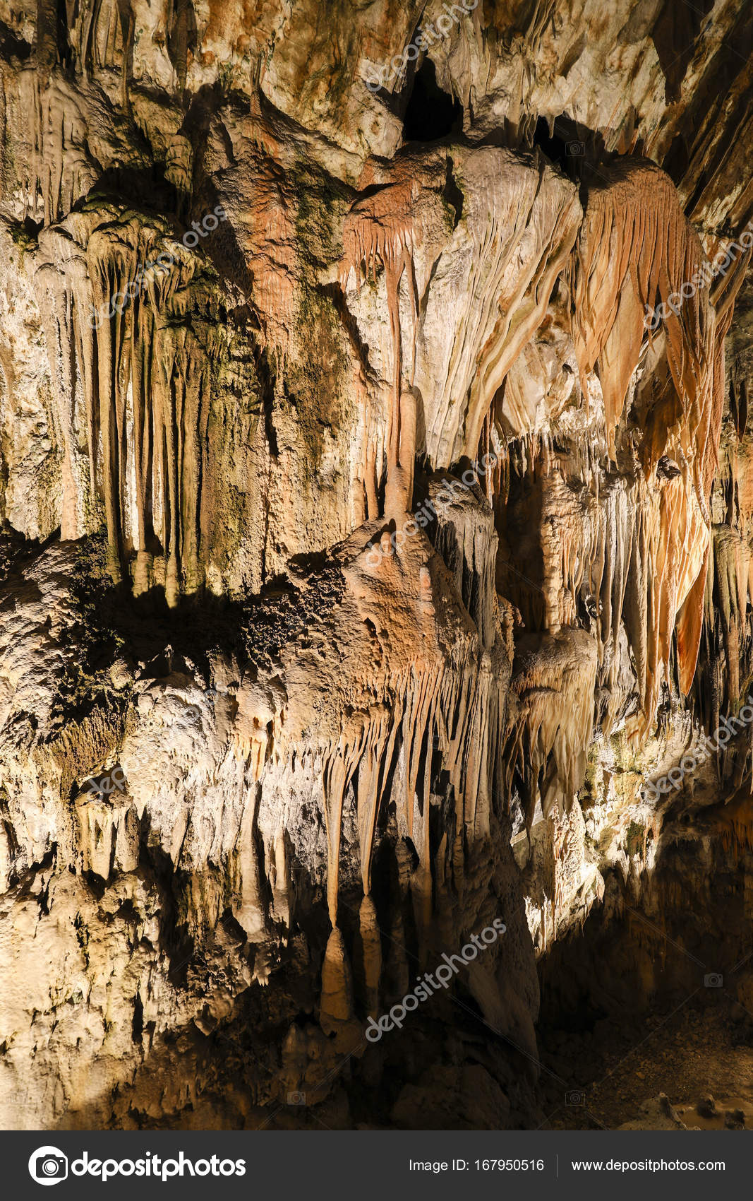 Postojna Cave (Slovenian: Postojnska jama) — Stock Photo © fthuerig ...