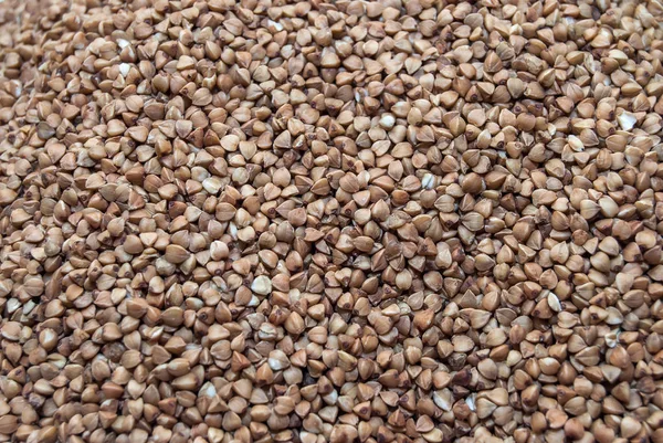 Buckwheat seeds — Stock Photo © aarrows #3876784