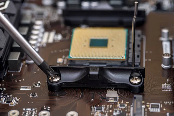 Ram and scorpion Stock Photos, Royalty Free Ram and scorpion Images ...