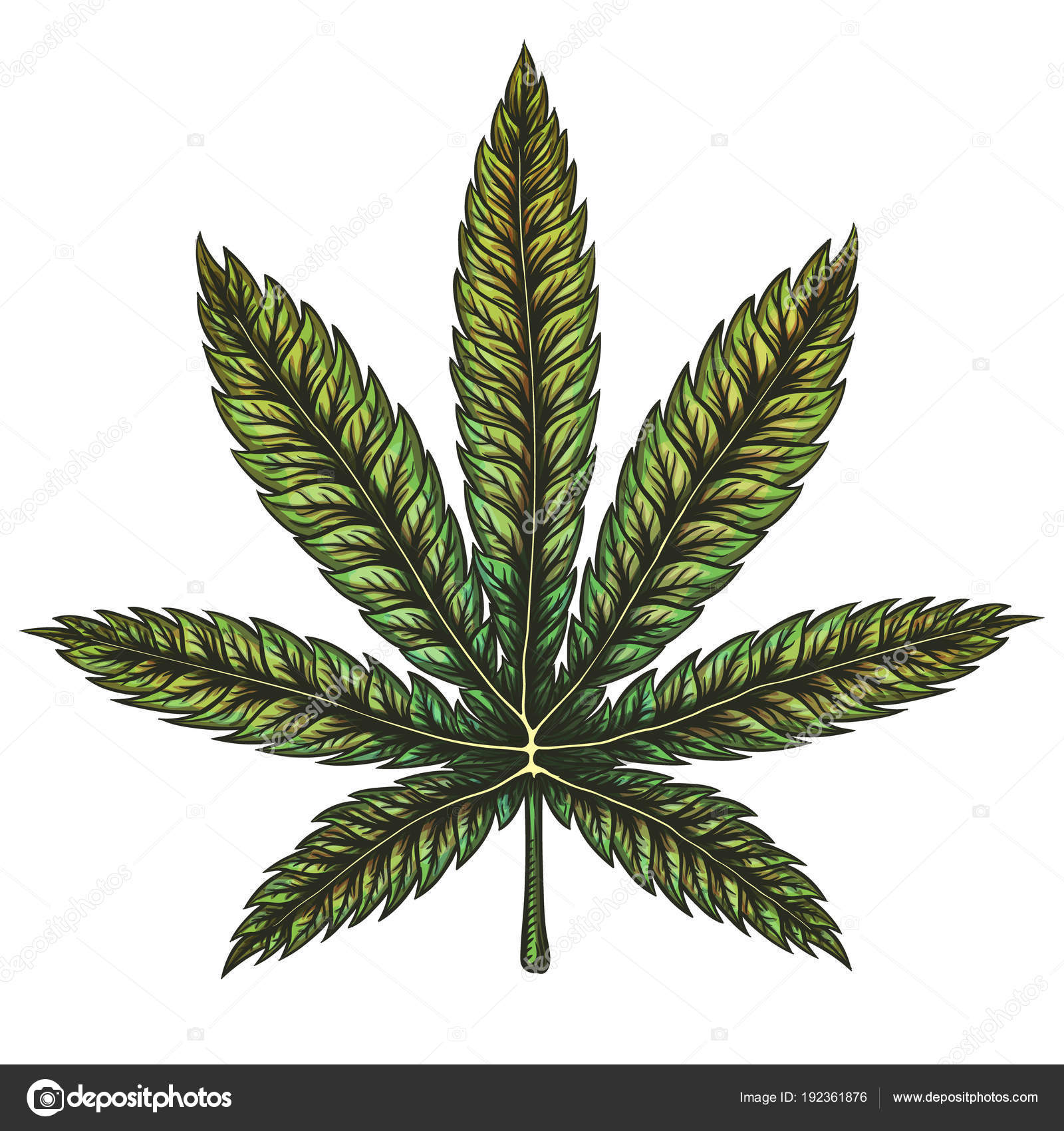 Cannabis Leaf Vector Art
