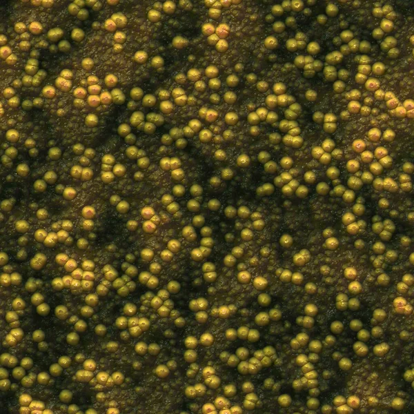 Colony bacteria under microscope. Seamless background texture. — Stock ...