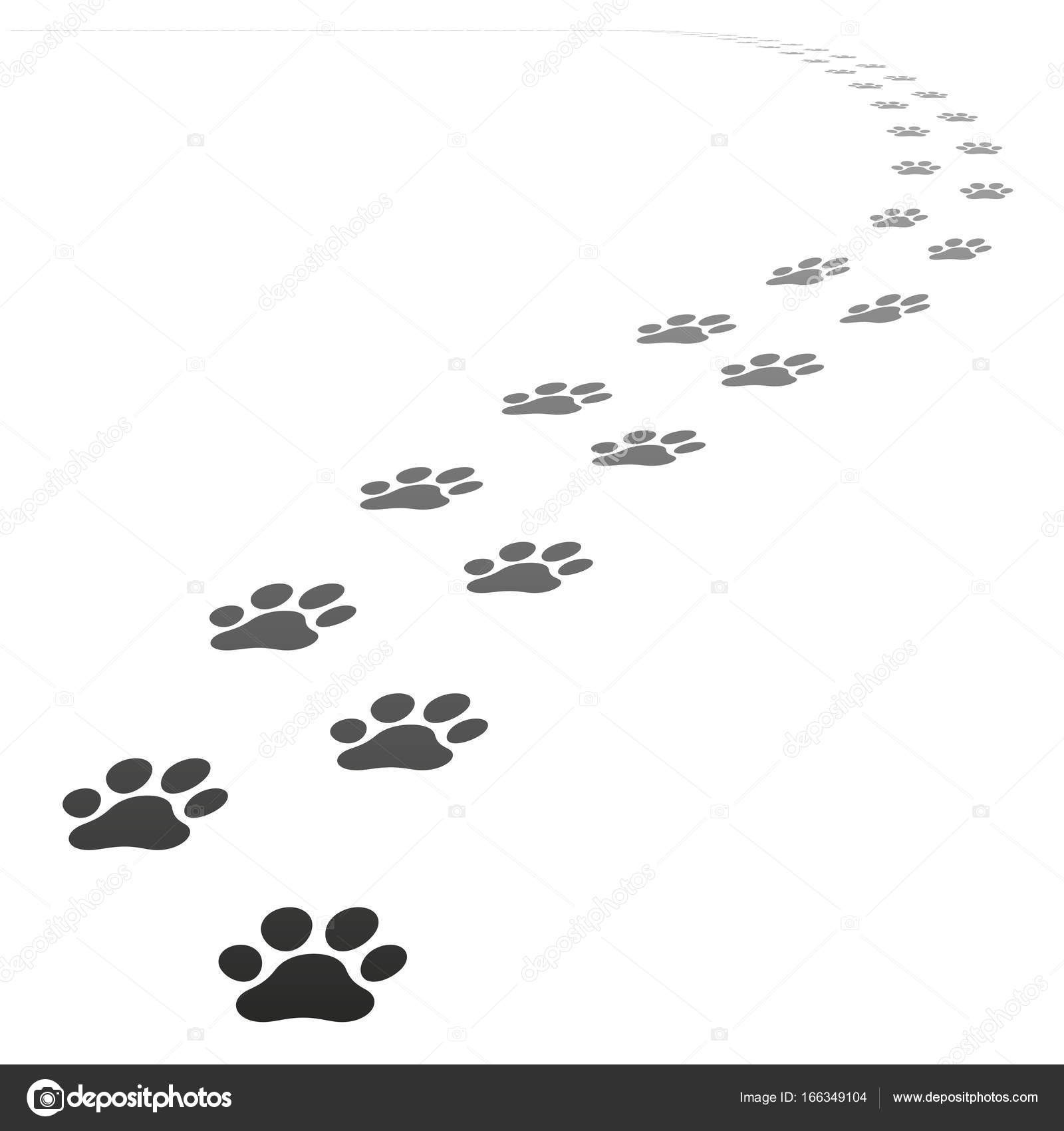 Vector dog paw prints Stock Vector by ©pingebat 166349104