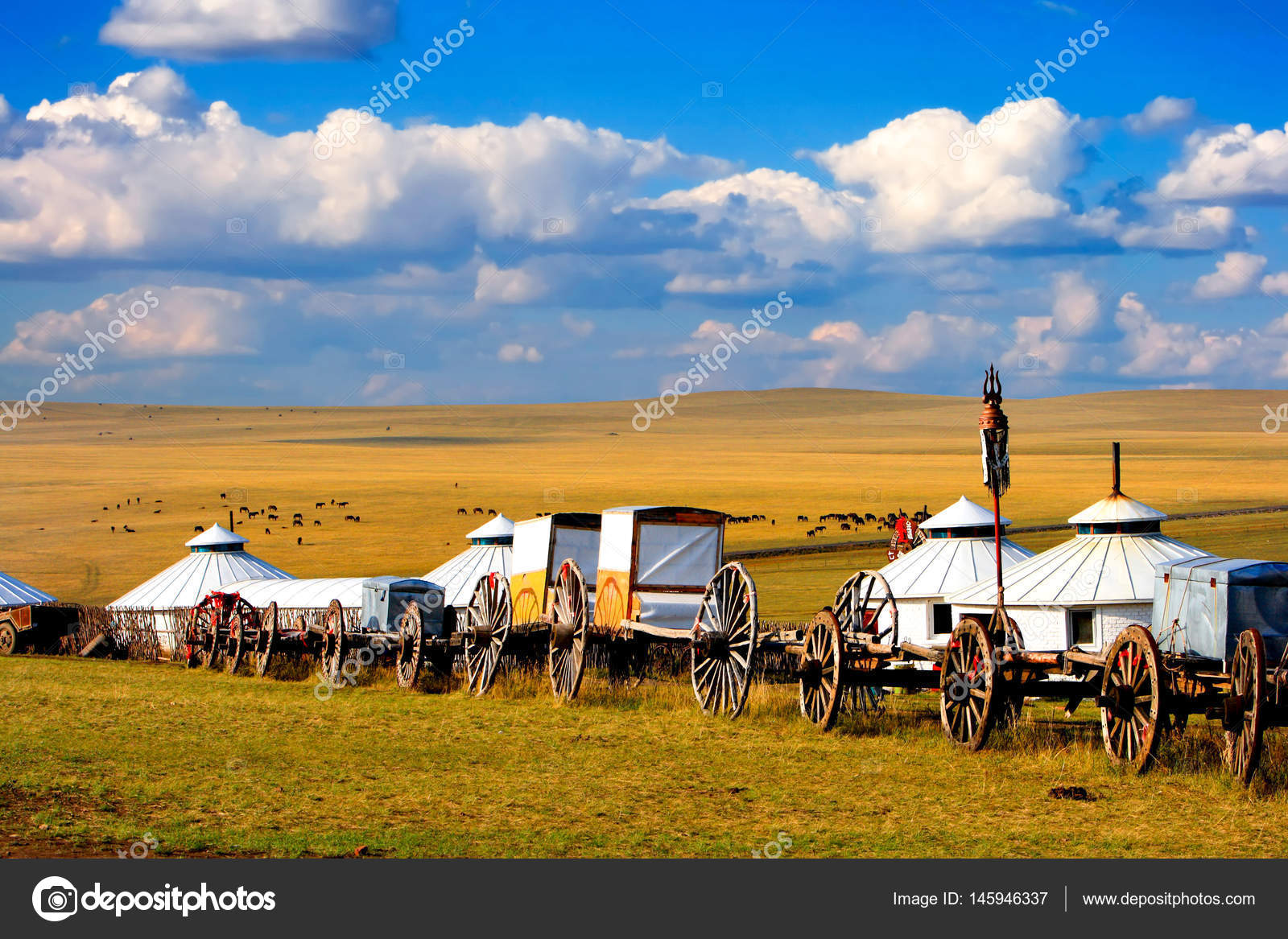 Migration Transport in Inner Mongolia — Stock Photo © kiankhoon #145946337