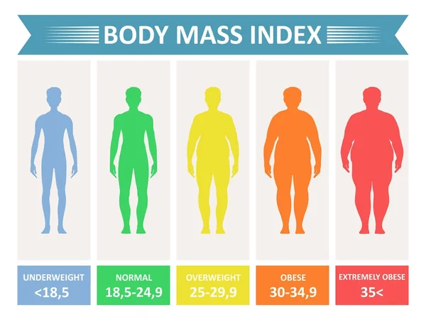 Body Mass Index Vector Illustration Silhouettes Different Obesity ... Body Mass Index Vector Illustration Silhouettes Different Obesity ...