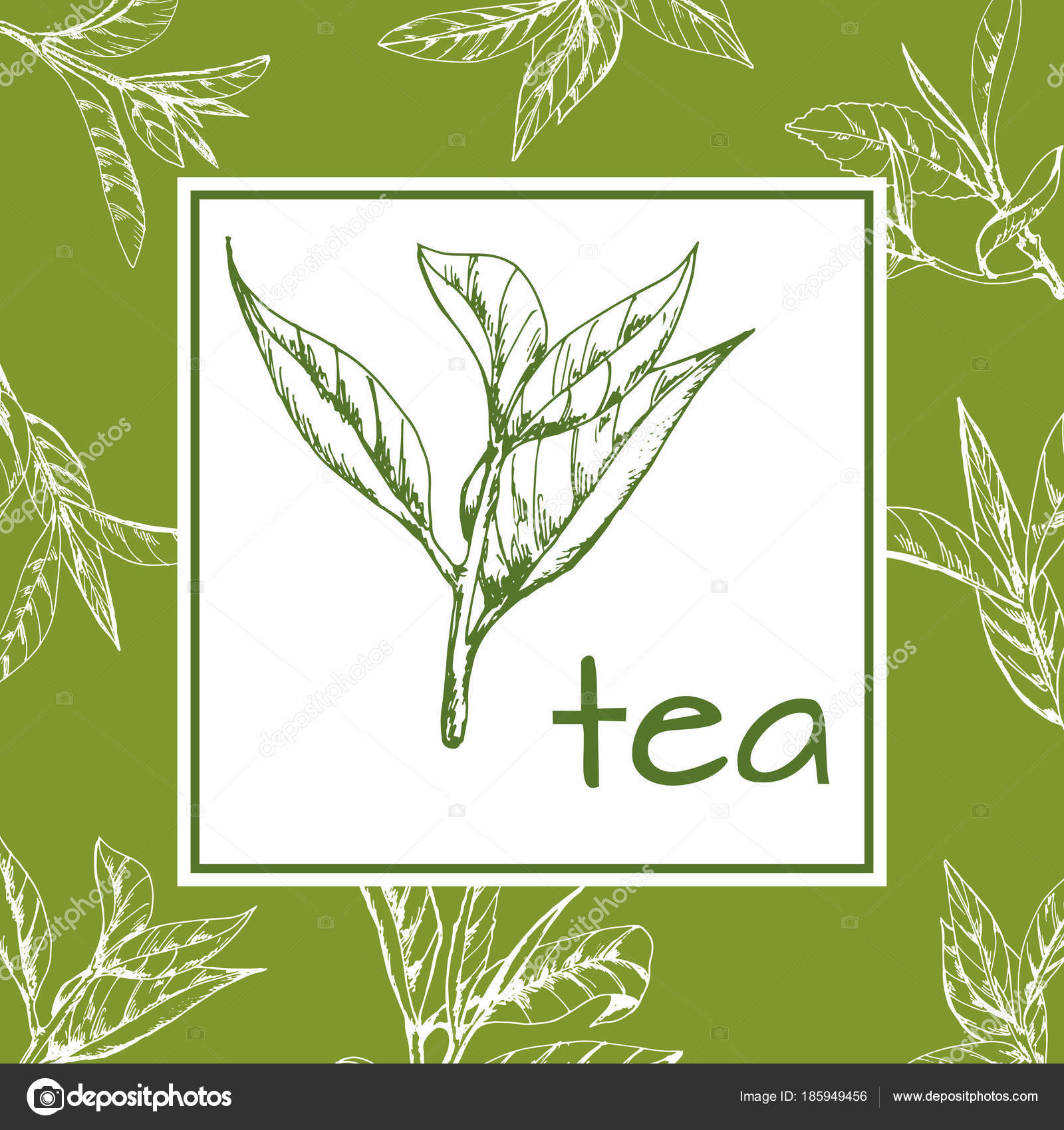 Tea logo vector, background with hand-drawn leaves and branches of tea ...