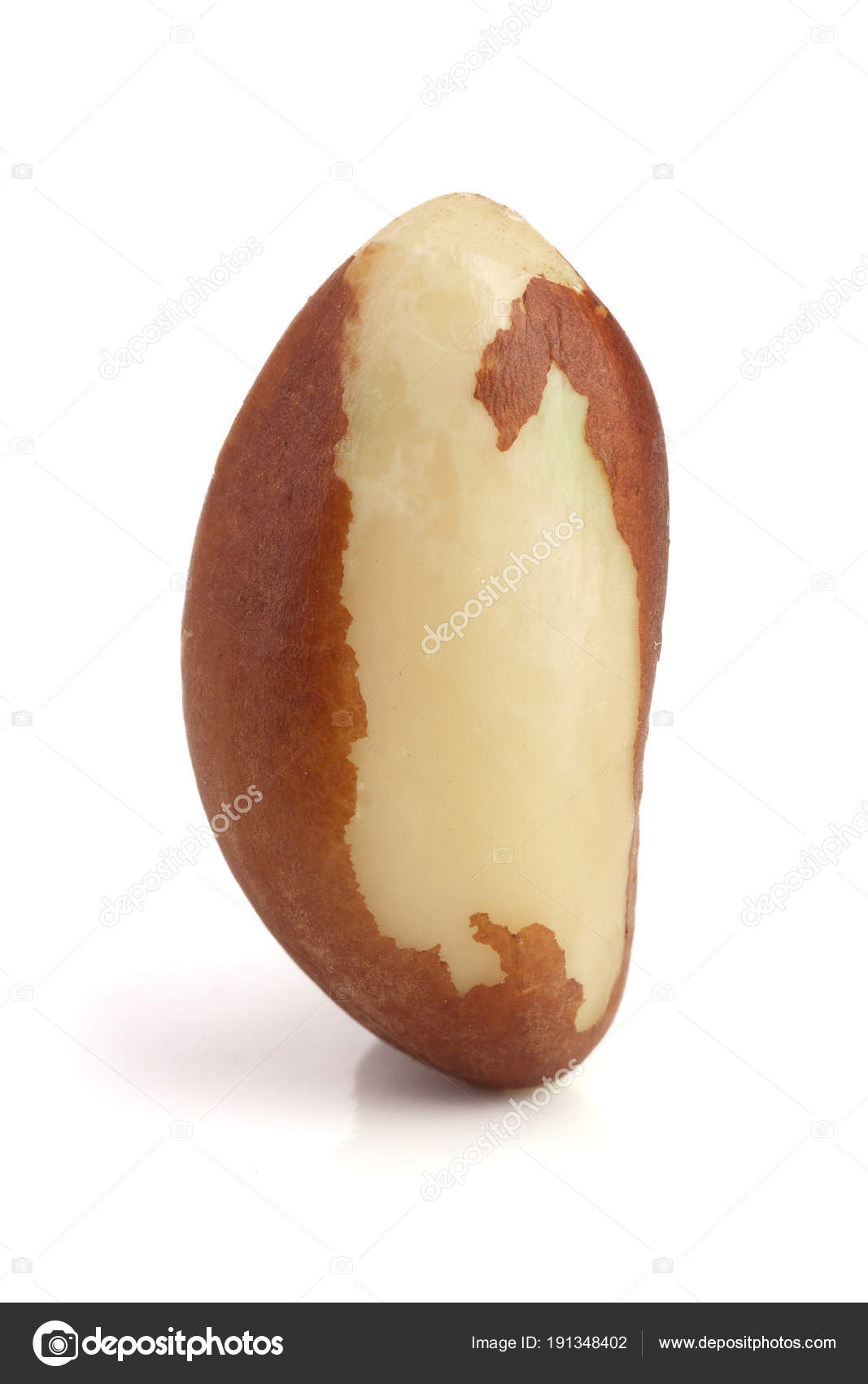 Brazil nuts isolated on white background closeup Stock Photo by ...