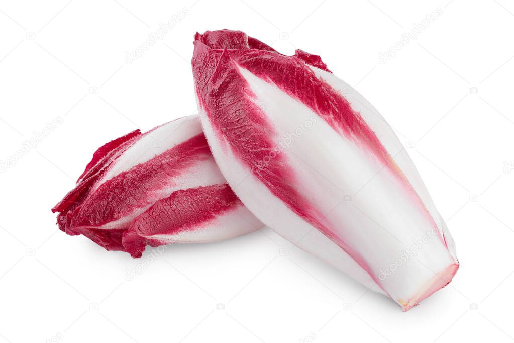 achicoria roja o radicchio aislado sobre fondo blanco 2023