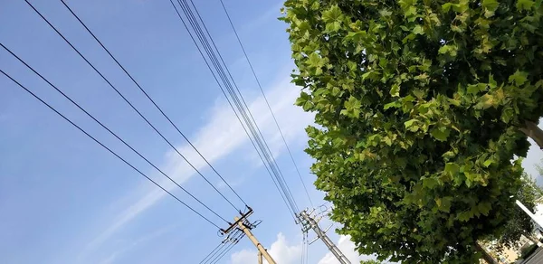 high voltage power line on a background of blue sky - Stock Image ...