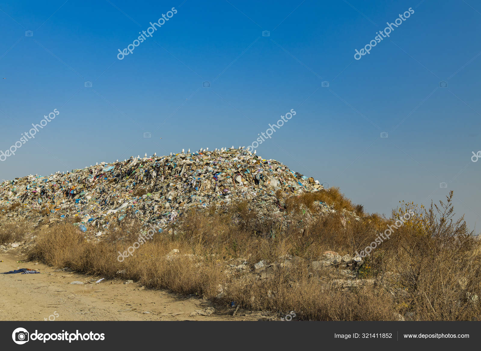 Global Environmental Pollution Concept Photography Outskirts Garbage ...