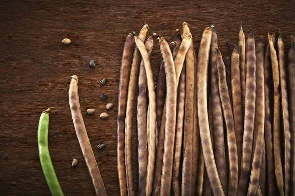 Tiges de graines Stock Photos, Royalty Free Tiges de graines Images ...