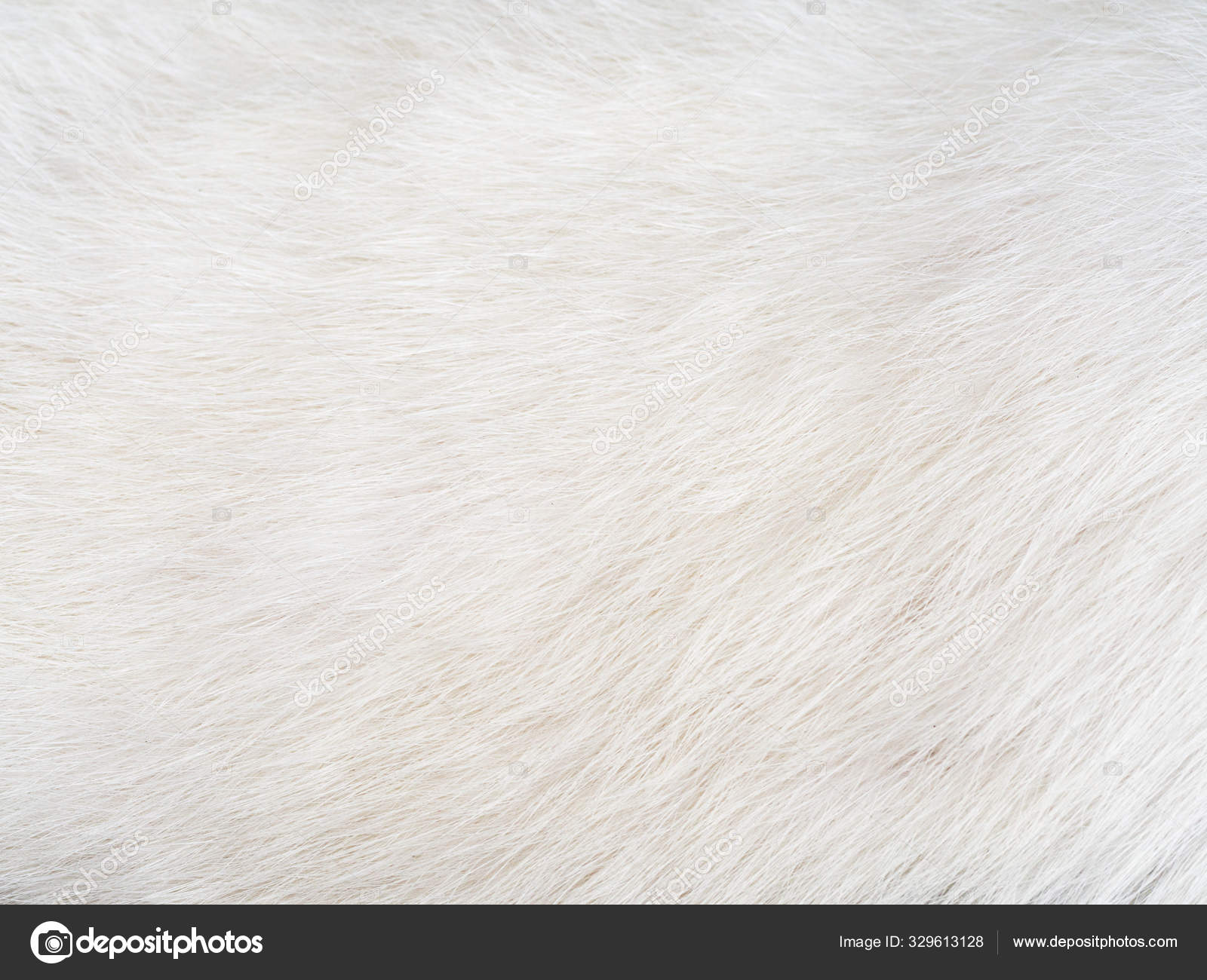 Texture Soft White Cat Hair Background Stock Photo by ©ieang 329613128
