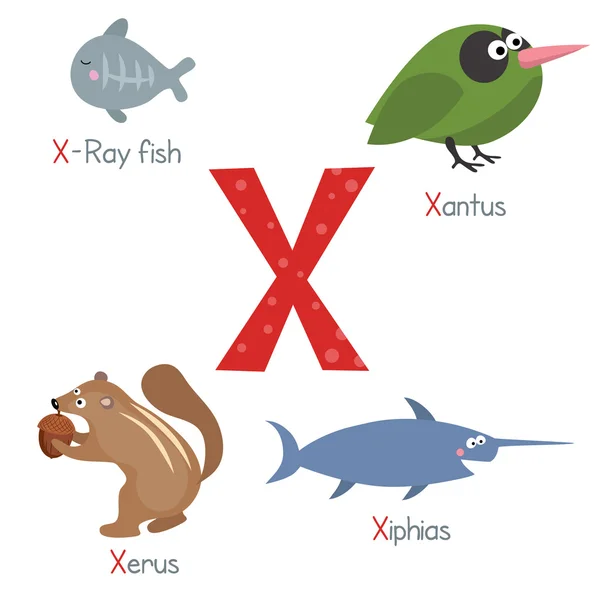 Xantus ภาพเวกเตอร์สต็อก Xantus ภาพประกอบที่ปลอดค่าลิขสิทธิ์ | Depositphotos