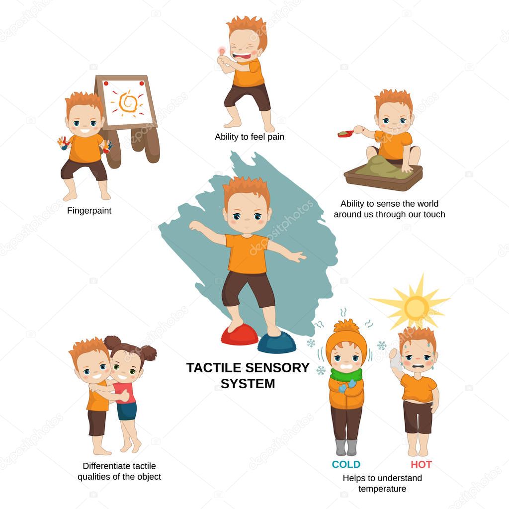 Ilustración de los sentidos humanos 2024