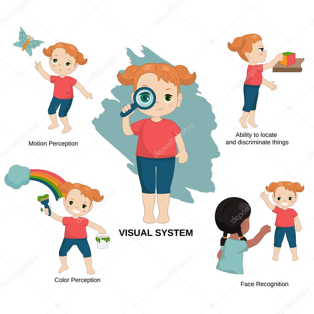 Ilustración de los sentidos humanos 2023