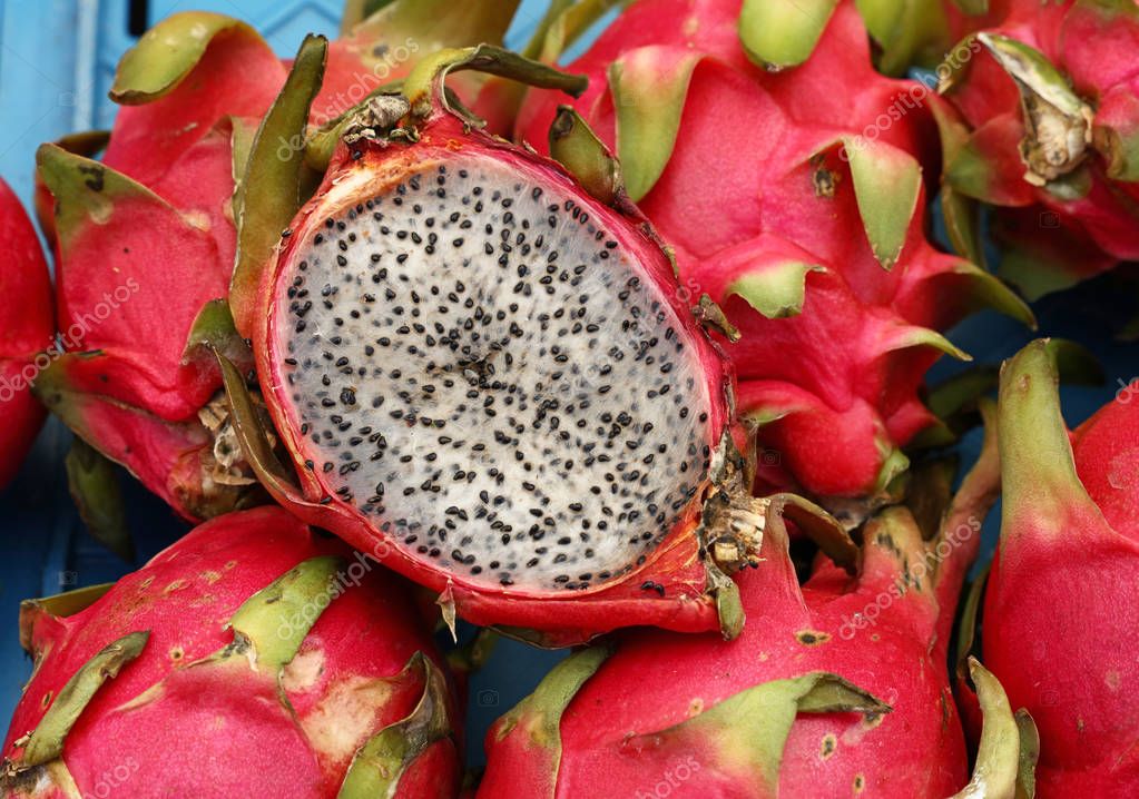Pitaya roja madura o fruta de dragón pitahaya de cerca 2023