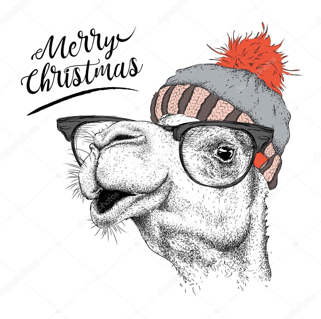Camel With Santa Hat