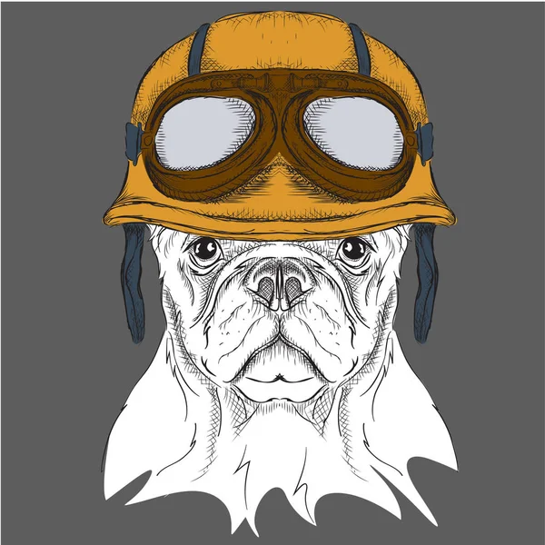 100,000 Devil dog Vector Images | Depositphotos
