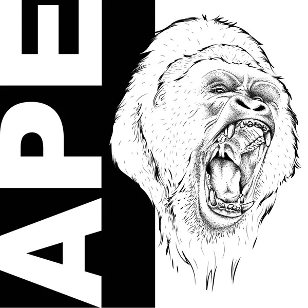 Drawing Ape's Head Leader Pack Gorillas Aggressive Monkey Graphic ...