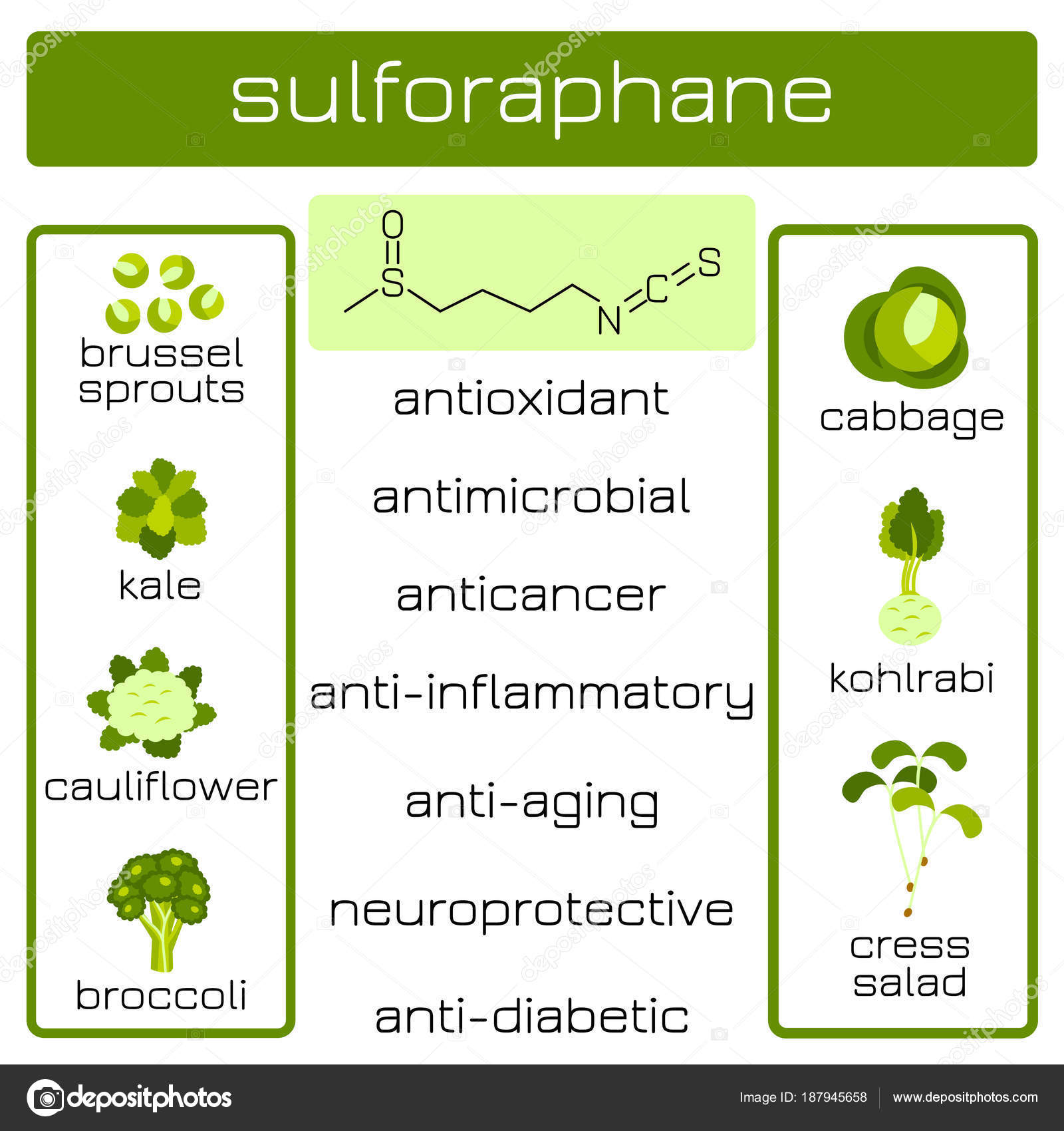 Infografías. Sulforafano compuesto orgánico Vector de stock #187945658 ...