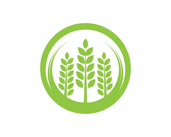 Rice food meal logo and symbols Stock Vector by ©Hatigraphic 164894202