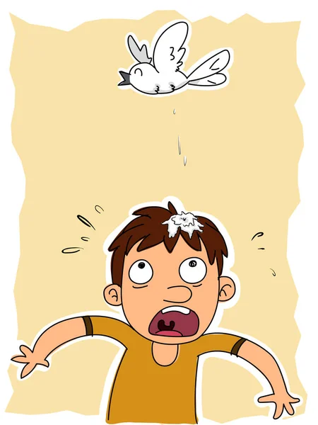 143 Bird poop Vector Images | Depositphotos