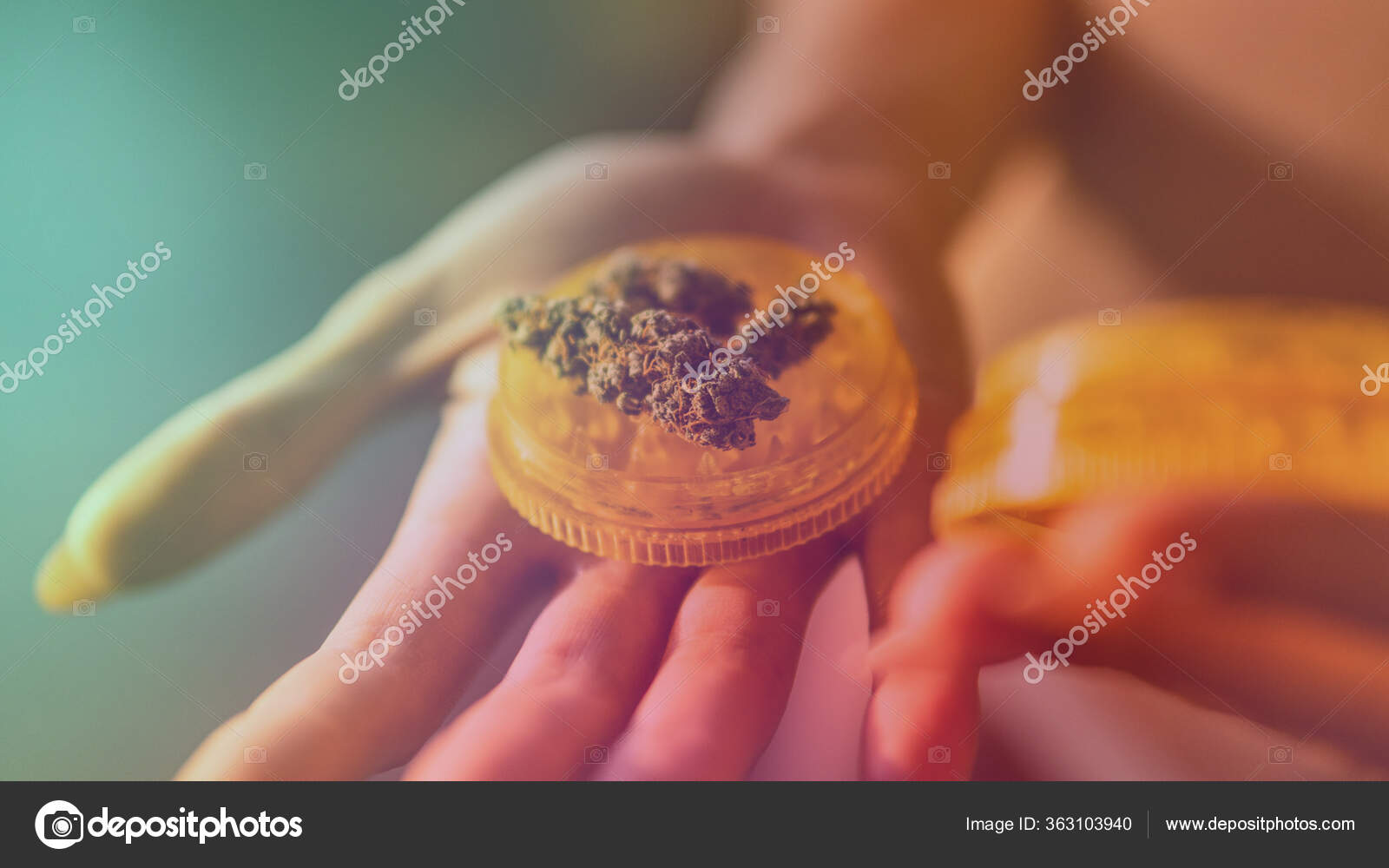 Checking Fresh Marijuana Buds Male Hands — Stock Photo © vasilevkirill ...