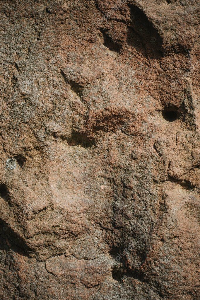 Textura de piedra de fondo con diferentes patrones, grietas ...