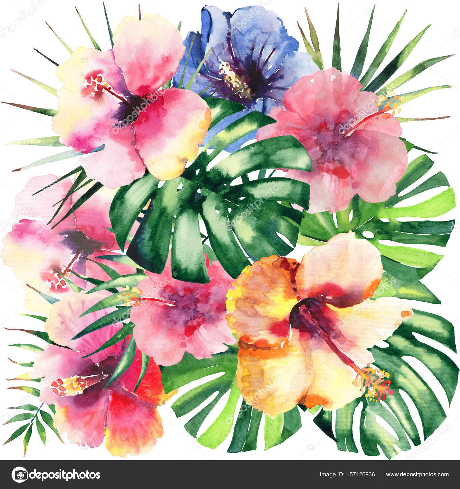 Beautiful Blue Exotic Flowers