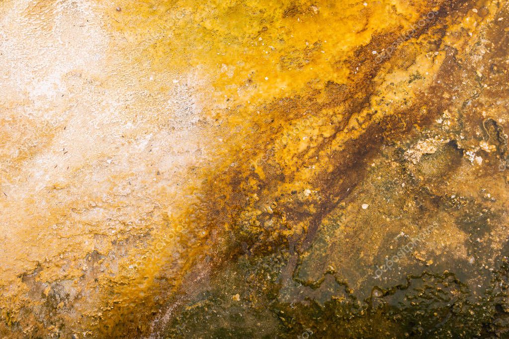 Enfoque cercano en la textura y el detalle de la cuenca del géiser. 2024