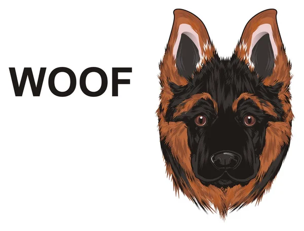 A puns german shepherd sticker style isolated white background Stock ...