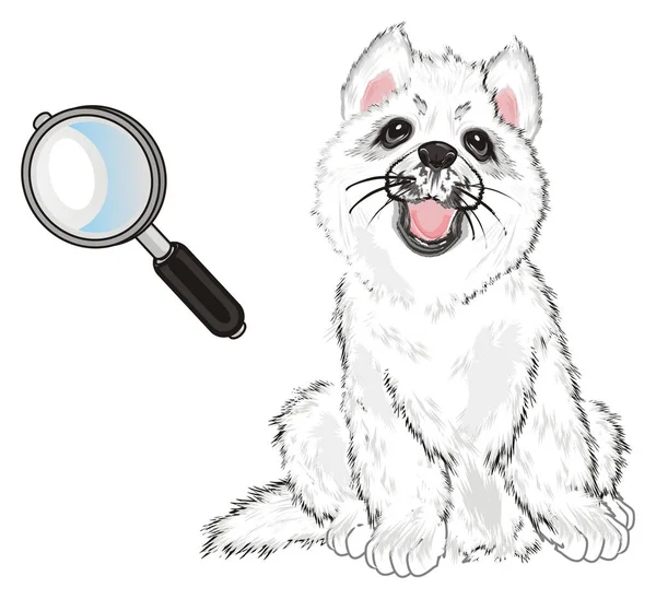 Animal detective Stock Photos, Royalty Free Animal detective Images ...