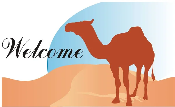 Cartoon camel Stock Photo by ©agaes8080 46716969