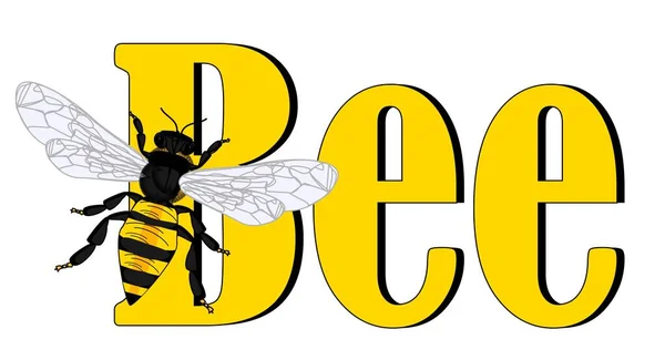 Bee logo Stock Photos, Royalty Free Bee logo Images | Depositphotos