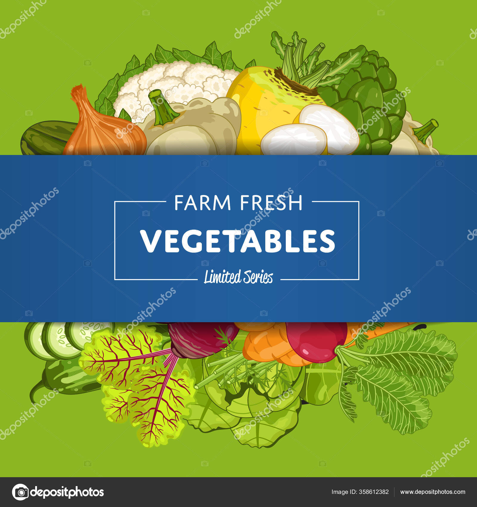 Farm fresh vegetable banner with natural product Stock Vector Image by ...