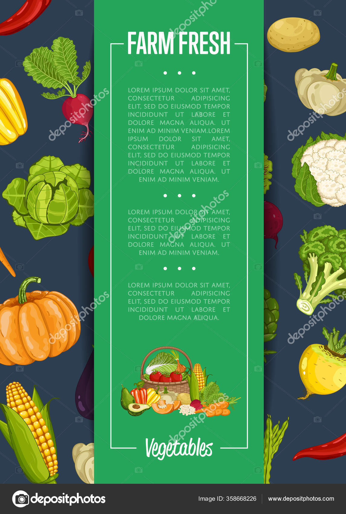Fresh Farm Food Banner Vector Illustration Natural Vegetable Organic ...