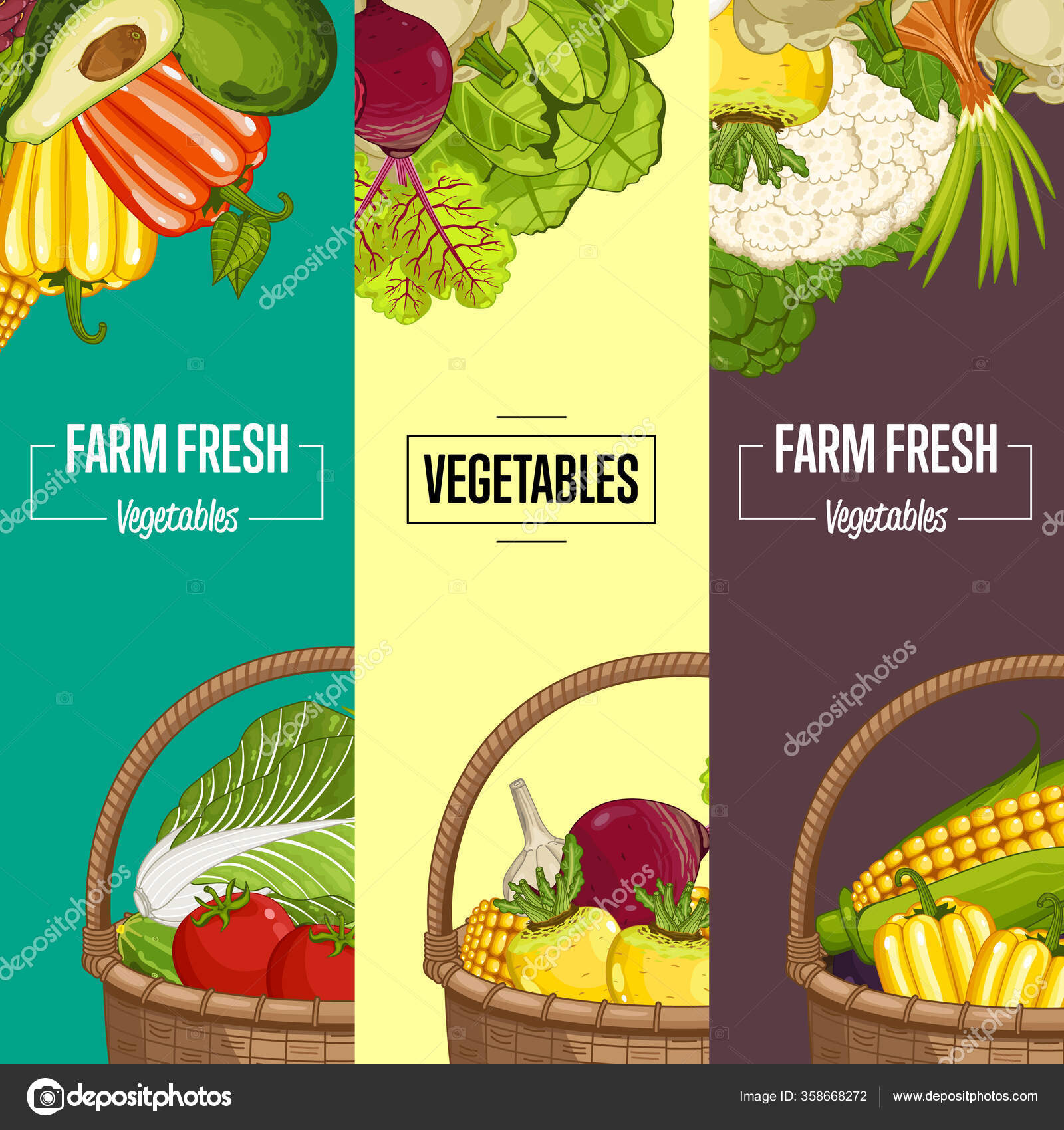Organic Vegetable Farming Flyers Set Vector Illustration Natural ...