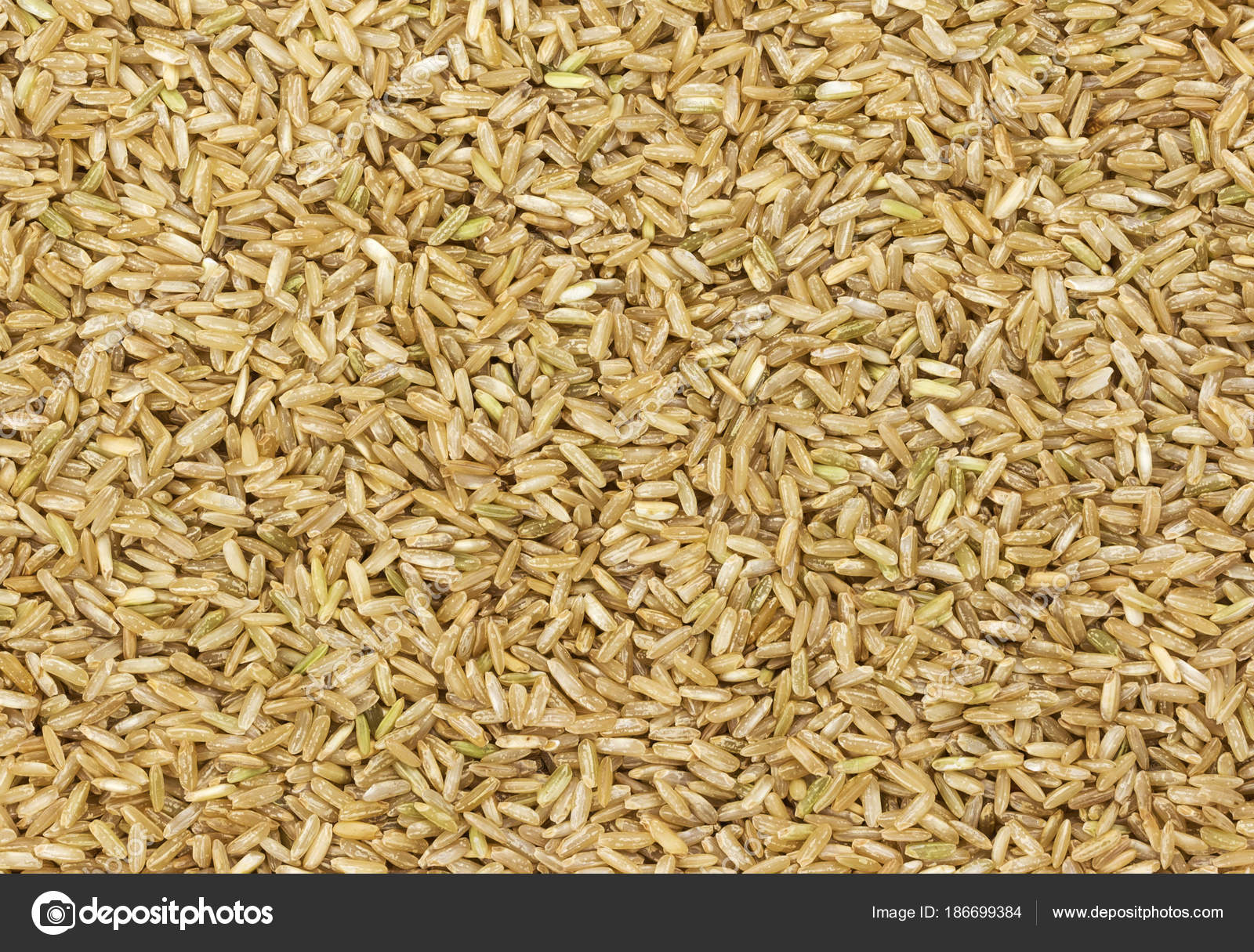 Brown rice texture Stock Photo by ©xamtiw 186699384