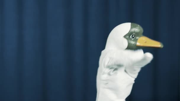 502 Hacer muñeca Videos, Royalty-free Stock Hacer muñeca Footage ...