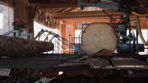 Sawmill machine cutting wood tree plank, rolling metal cylinders ...