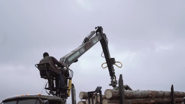 Heavy claw loader unloads timber scraps from heavy truck at sawmill ...