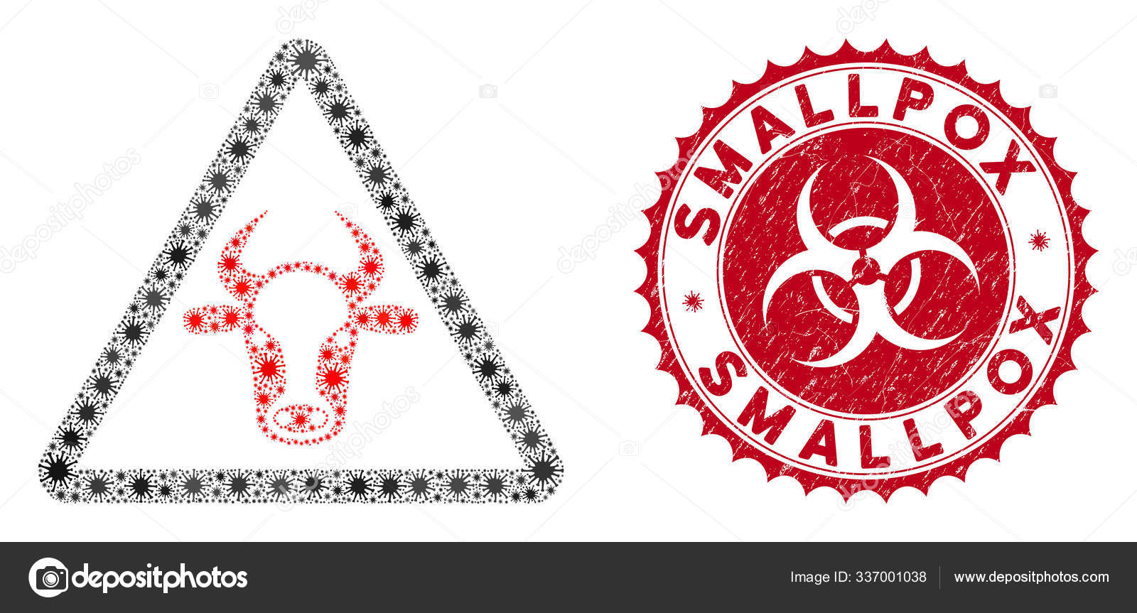 Smallpox Dangers