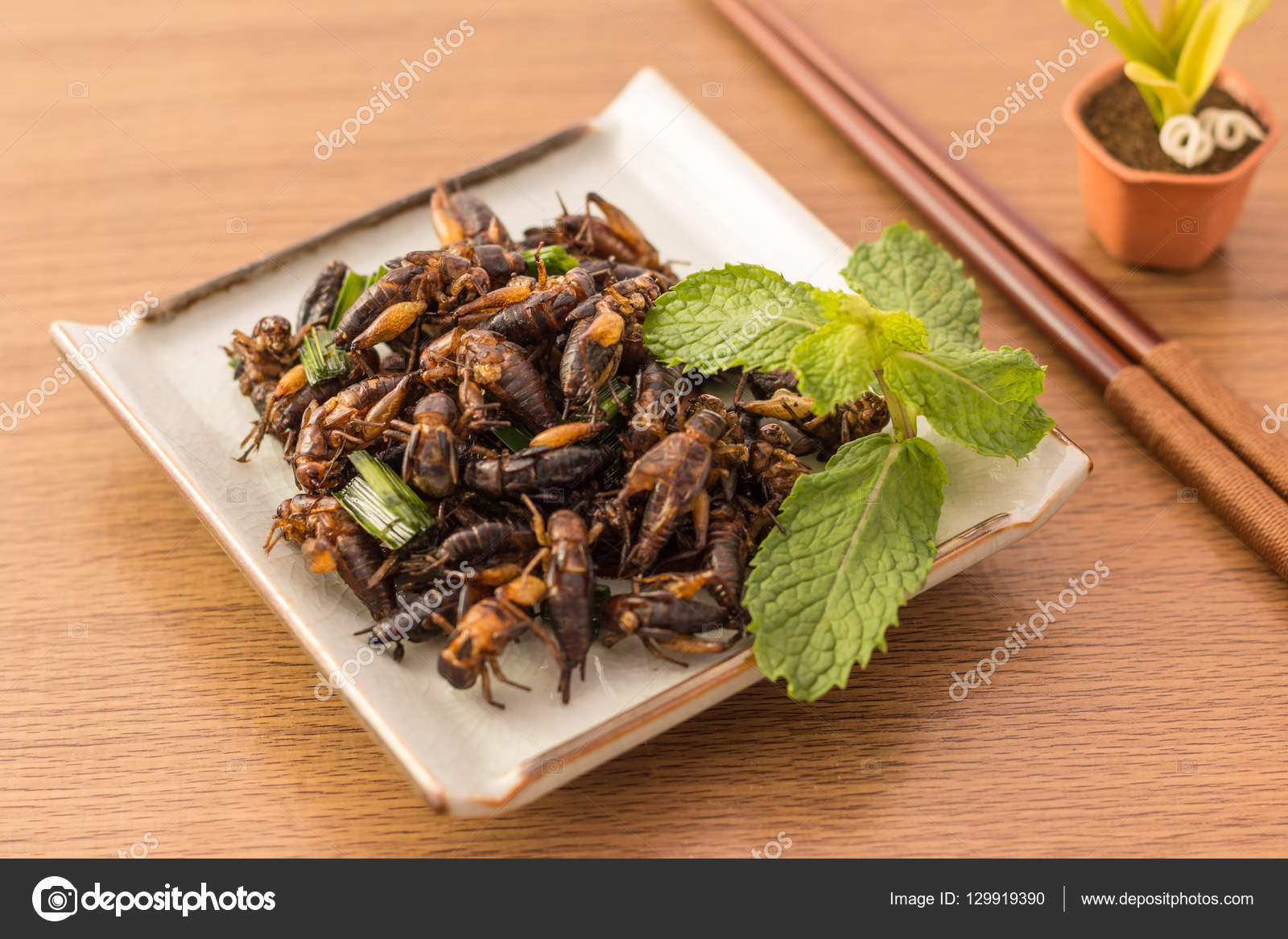 Fried Crickets
